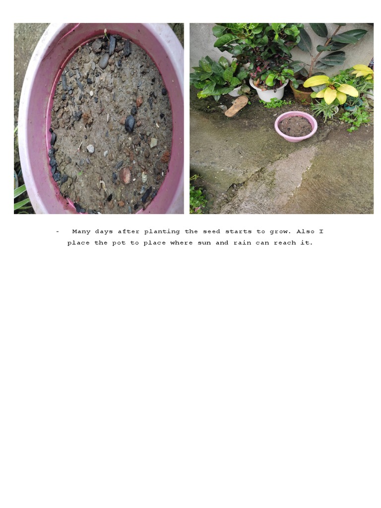 HG Week 2 Documentation - Jasmher | PDF