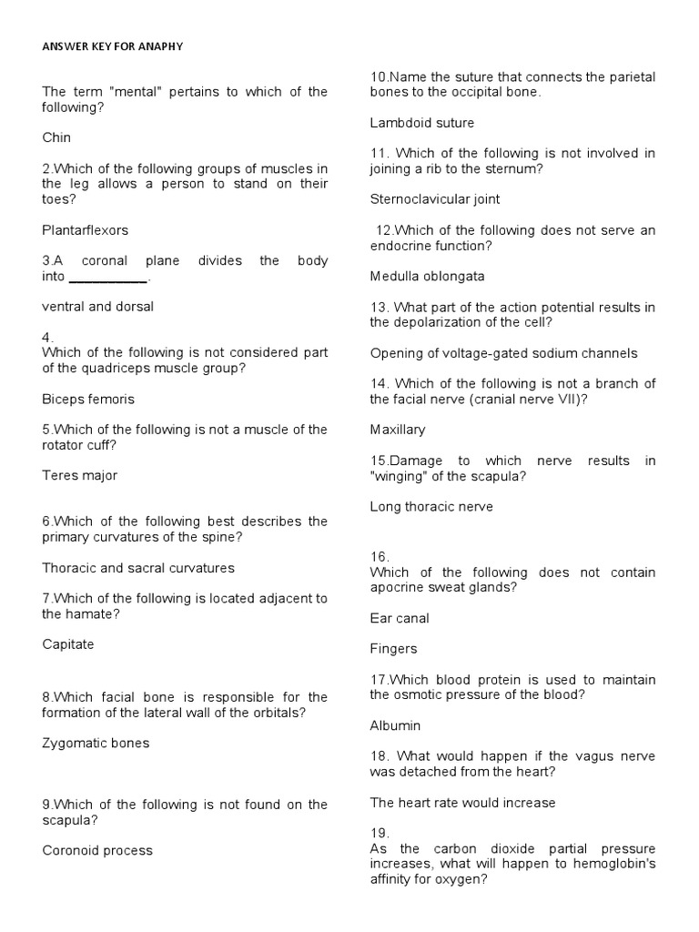 Answer Key in Anaphy | PDF | Muscle Contraction | Neurotransmitter