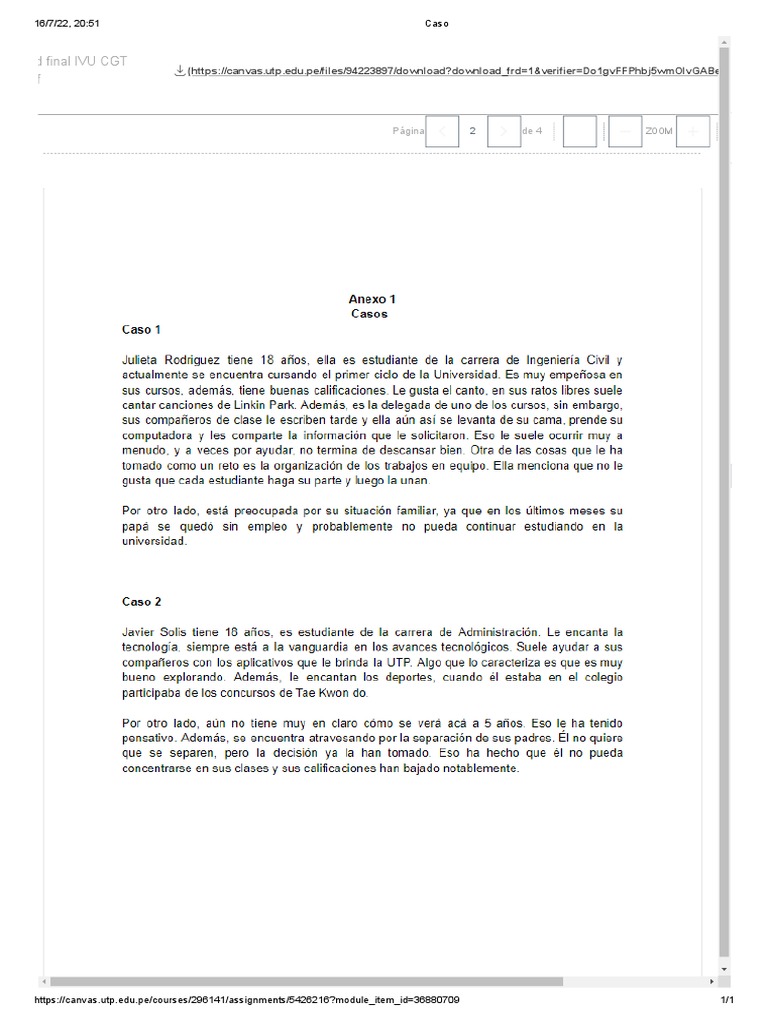 Caso | PDF | Informática