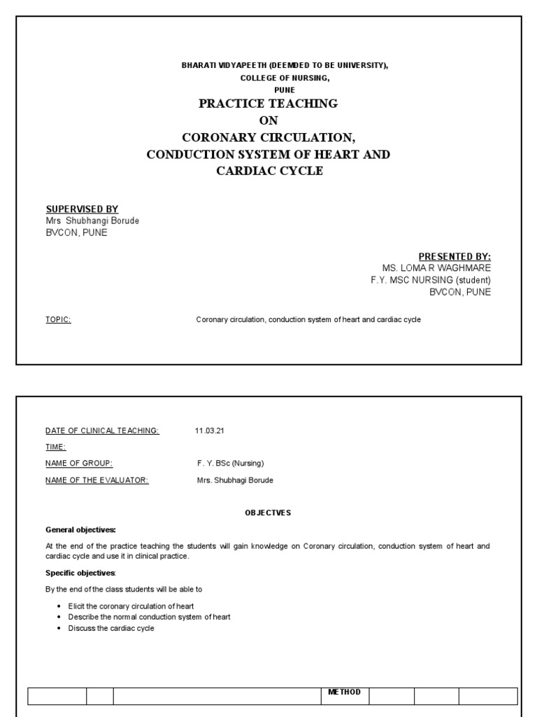 Lesson Plan Heart | PDF | Ventricle (Heart) | Heart