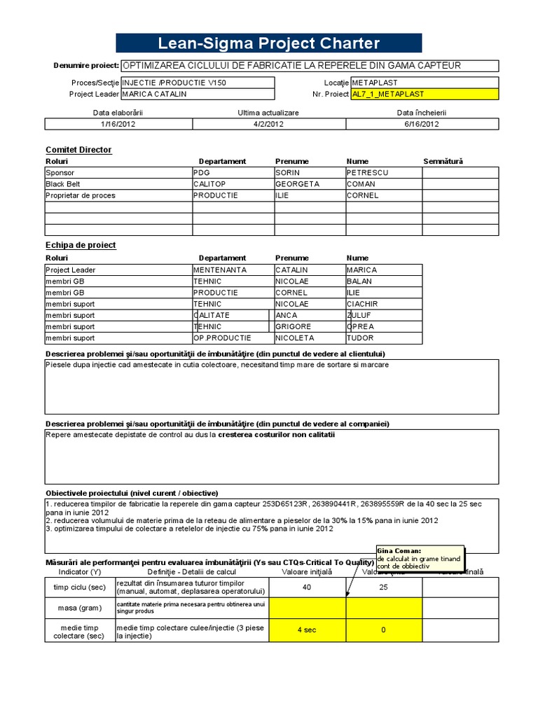 FA 04 LSS Project Charter Catalin Marica | PDF