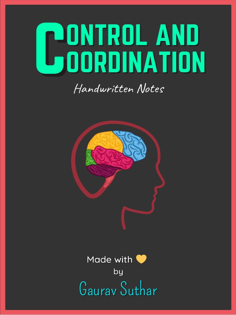 Control and Coordination Notes | PDF | Nervous System | Brain