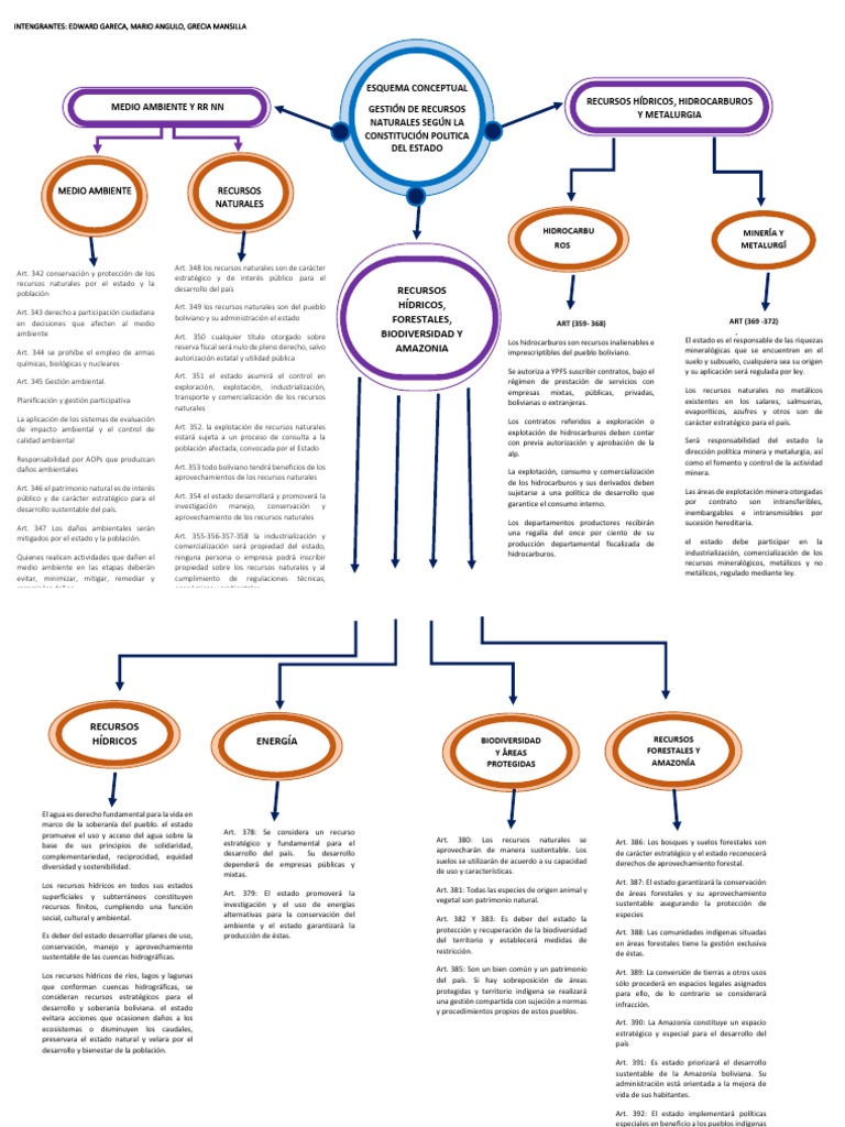 Mapas Conceptuales Descargar Gratis Pdf Los Bosques Entorno Natural