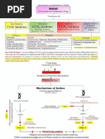 Cyclooxygenase Pathway Overview Diagram | PDF