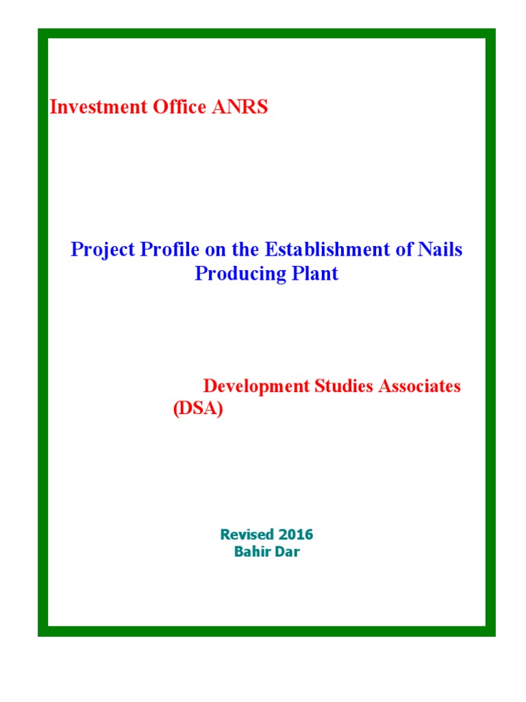 Nail - Modified | PDF | Revenue | Gross Income