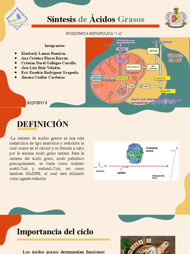 Sintesis de Acidos Grasos | Descargar gratis PDF | Ácido graso ... Sintesis de Acidos Grasos | Descargar gratis PDF | Ácido graso ...