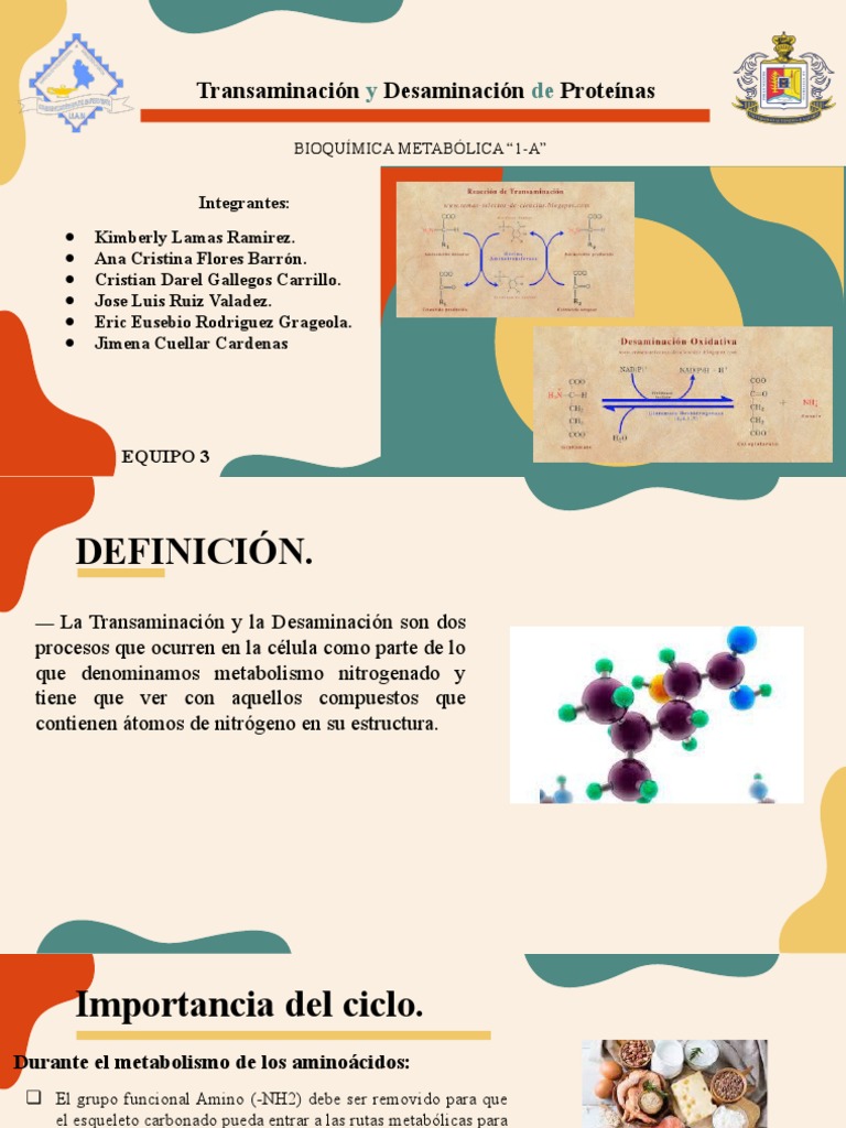 Transaminación y Desaminación de Proteínas | PDF | Transaminasa | Biología