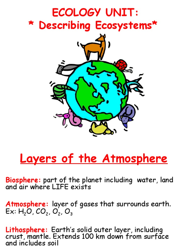 4) Abiotic Vs Biotic Factors | Download Free PDF | Ecosystem | Forests