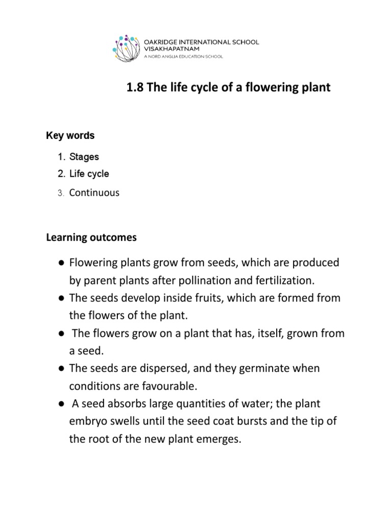 Flowering Plant Life Cycle Guide | PDF | Home & Garden | Science ...