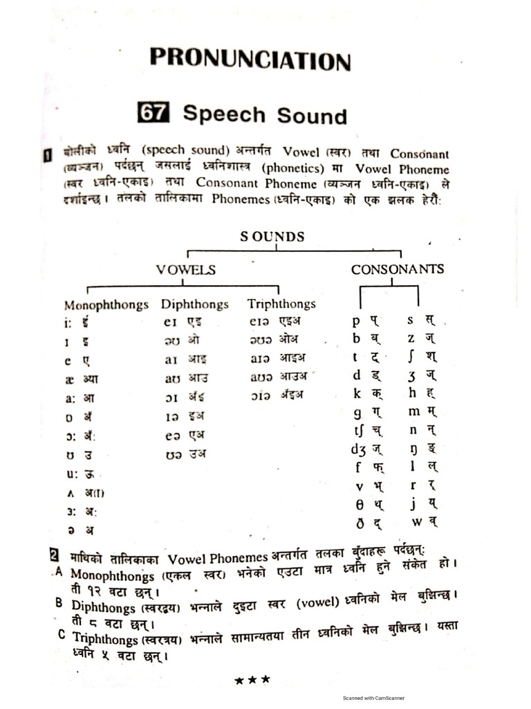 Phonemes, Phonetic Symbols & Word Stress | PDF