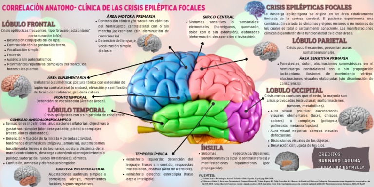 Correlato Clinico - Anatomico de Las Crisis Epilepticas Focales | PDF ...