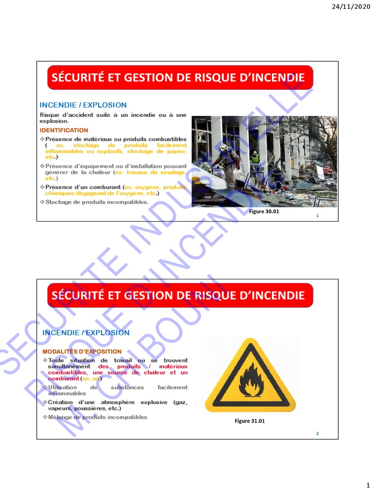 Risque Incendie | PDF | La nature | Sciences physiques
