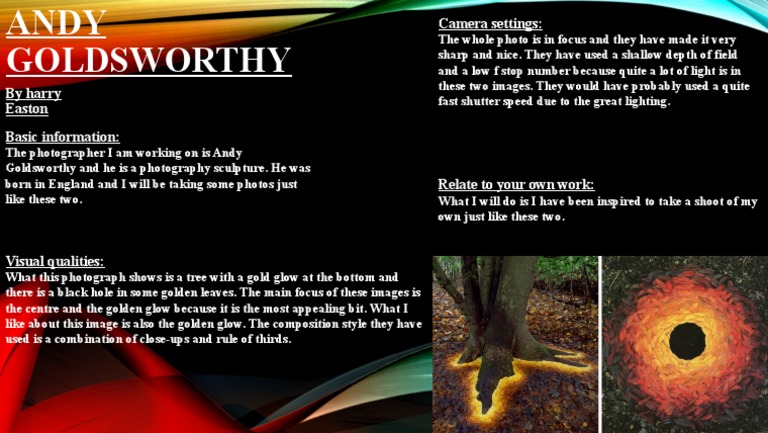 Andy Goldsworthy | PDF