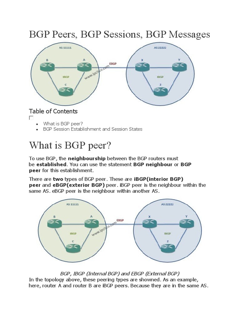 BGP Peers | PDF | Computer Science | Network Protocols