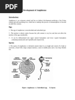 Permanent Slide Preparation Guide | PDF | Histology | Fixation (Histology)