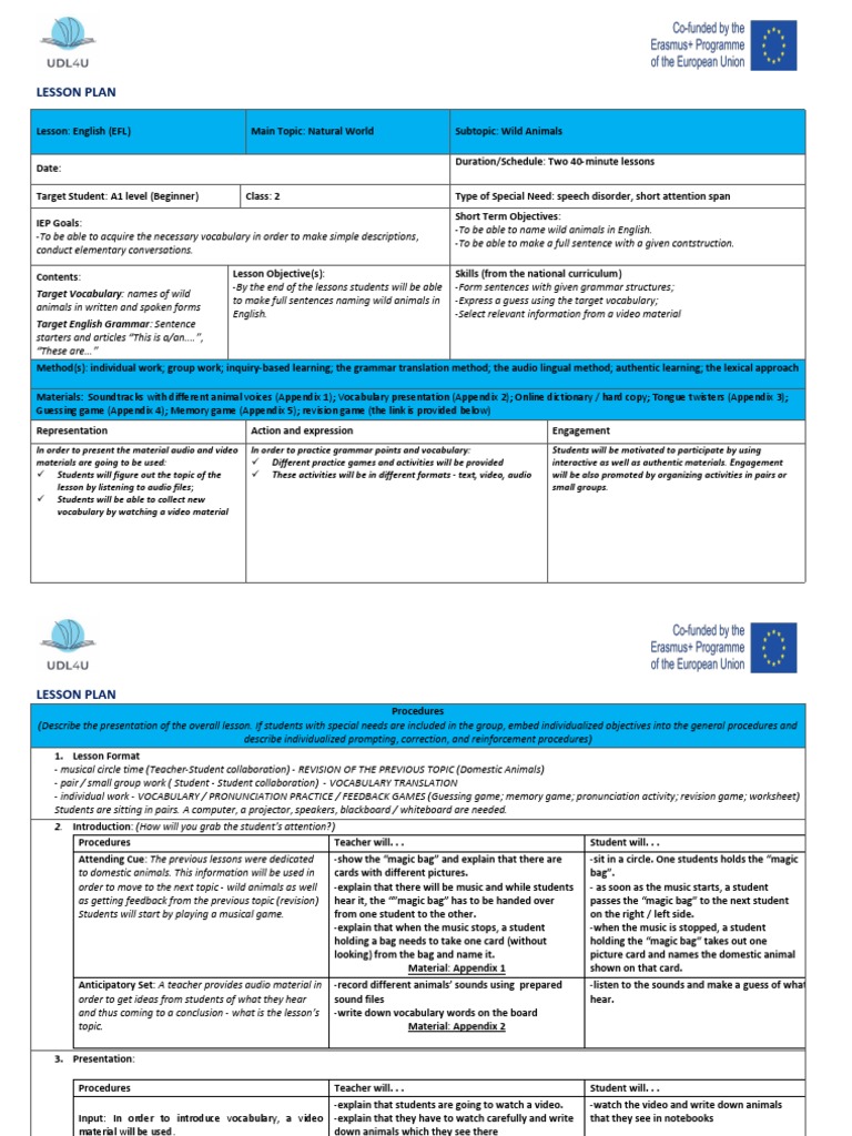 UDL-Lesson Plan - English | PDF | Lesson Plan | Vocabulary