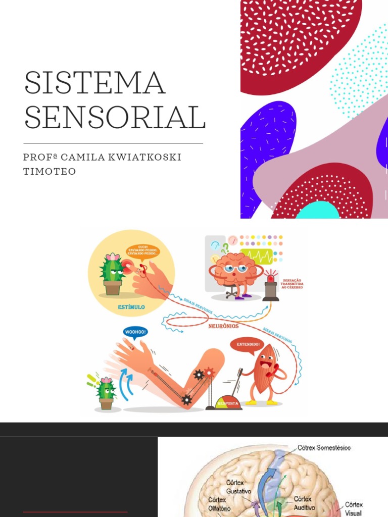 Sistema Sensorial | PDF | Estímulo (Fisiologia) | Sentidos