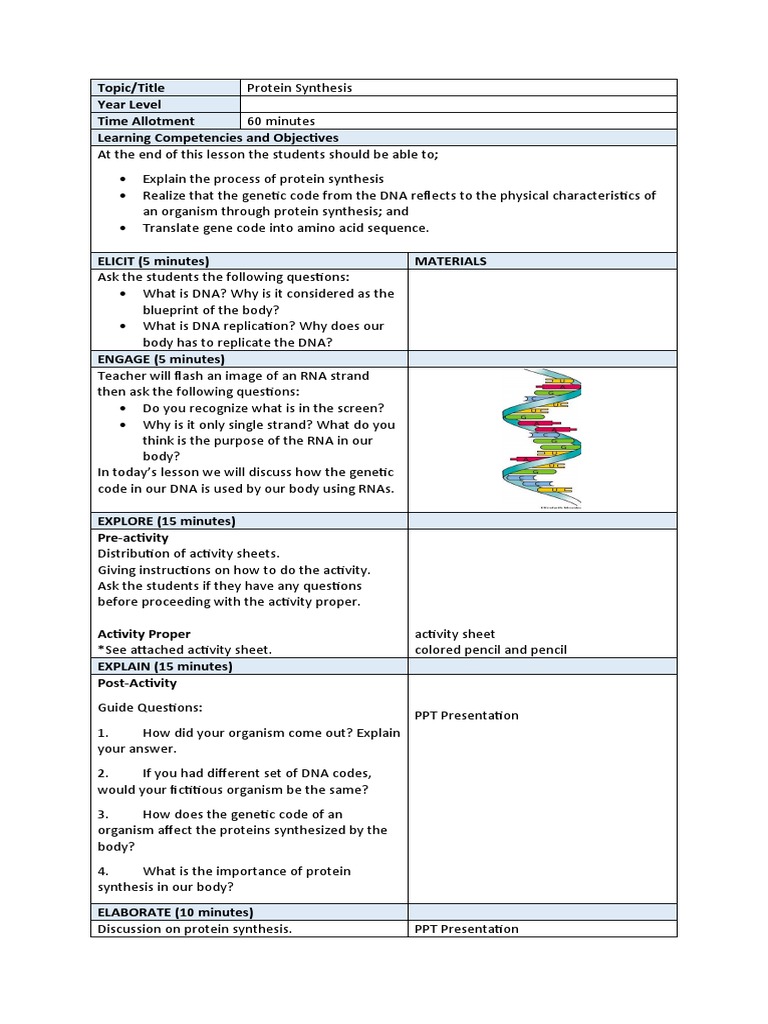 Lesson Plan Protein Synthesis | PDF | Translation (Biology) | Genetic Code