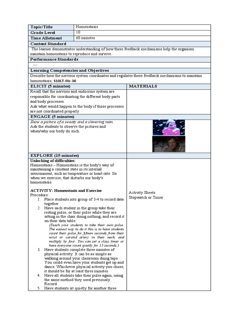 Lesson Plan Homeostasis | PDF | Homeostasis | Heart Rate