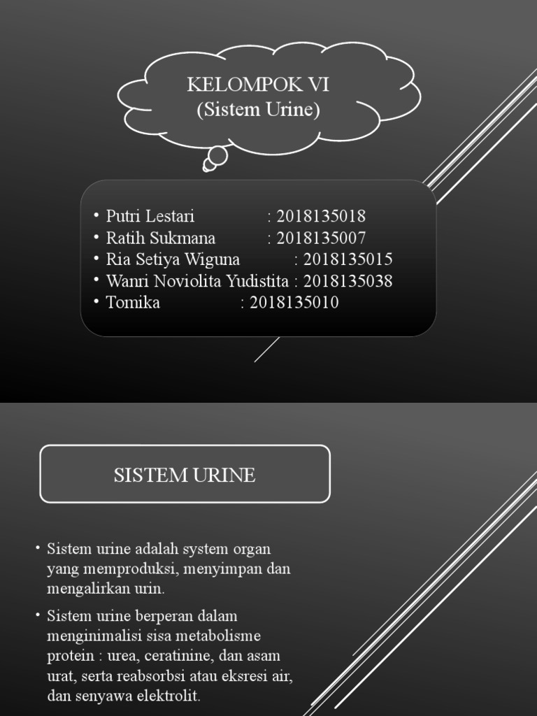 Kel.6 Anfisman Sistem Urine | PDF