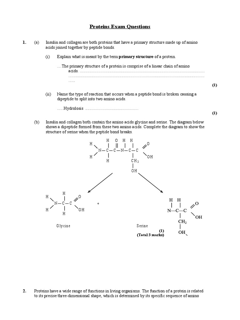 Proteins Exam QS | PDF | Proteins | Amino Acid