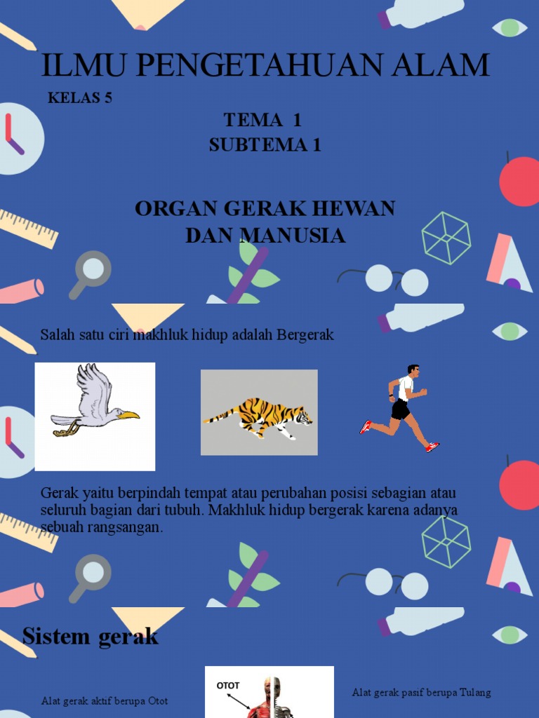 Ipa Tema 1 Subtema 1 Organ Gerak Hewan Dan Manusia | PDF