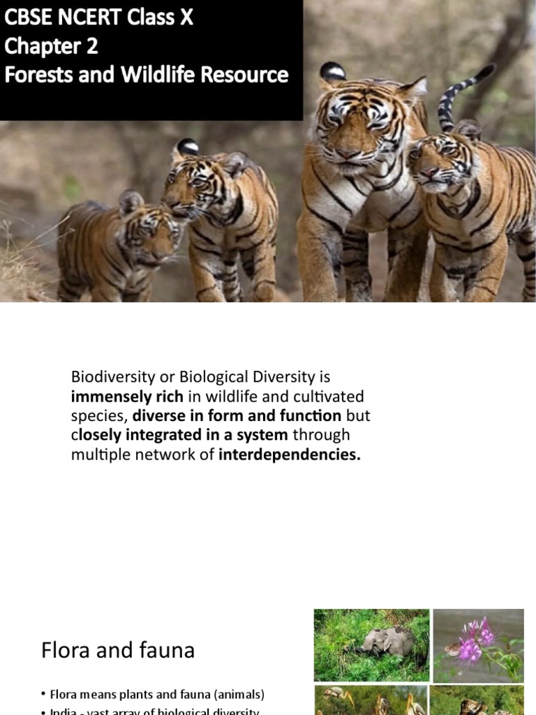 Forest and Wildlife Resources in India | PDF | Tiger | Biodiversity