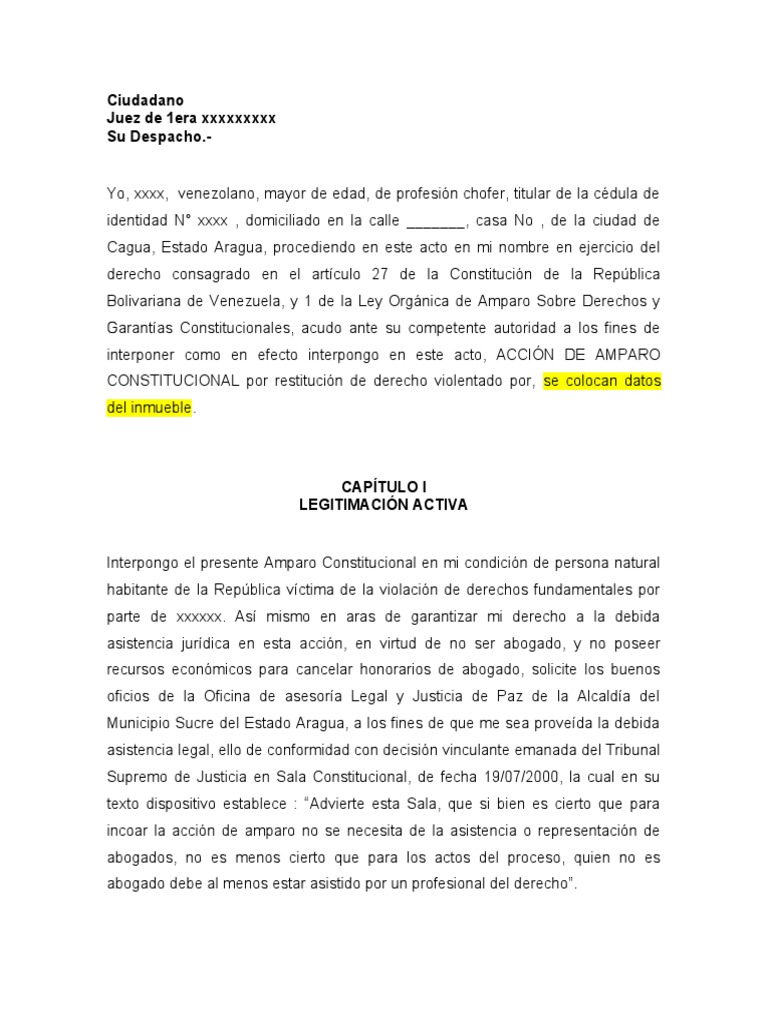 Modelo de Amparo Constitucional | PDF | Derecho Constitucional | Ley común