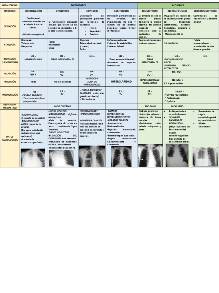 Síndromes Pleuropulmonares | PDF | Pulmón | Causas de la muerte