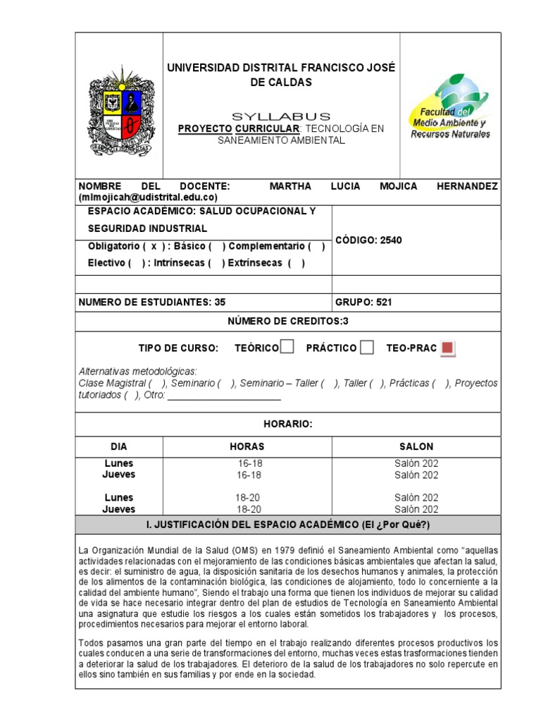 Syllabus SALUD OCUPACIONAL Y SEGURIDAD INDUSTRIAL | PDF | Seguridad y ...