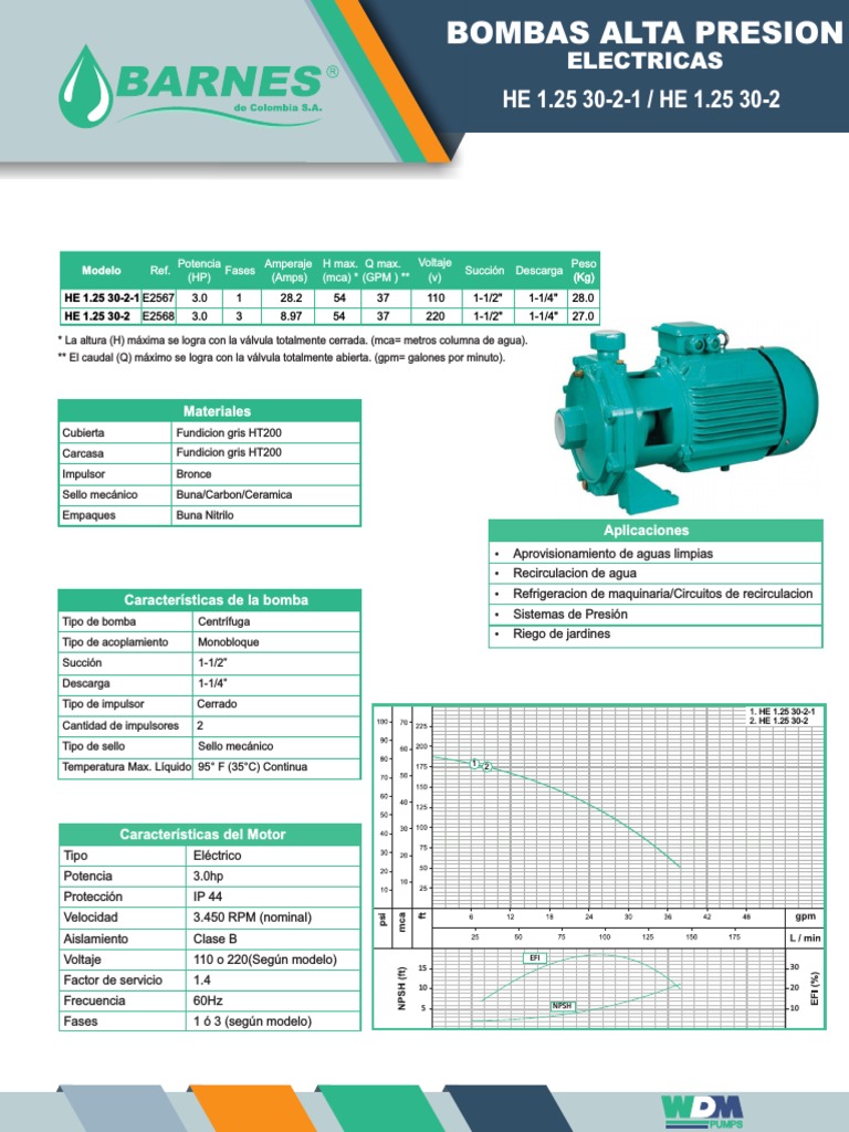 Ficha Tecnica Motobomba-1 | PDF | Tornillo | Bomba