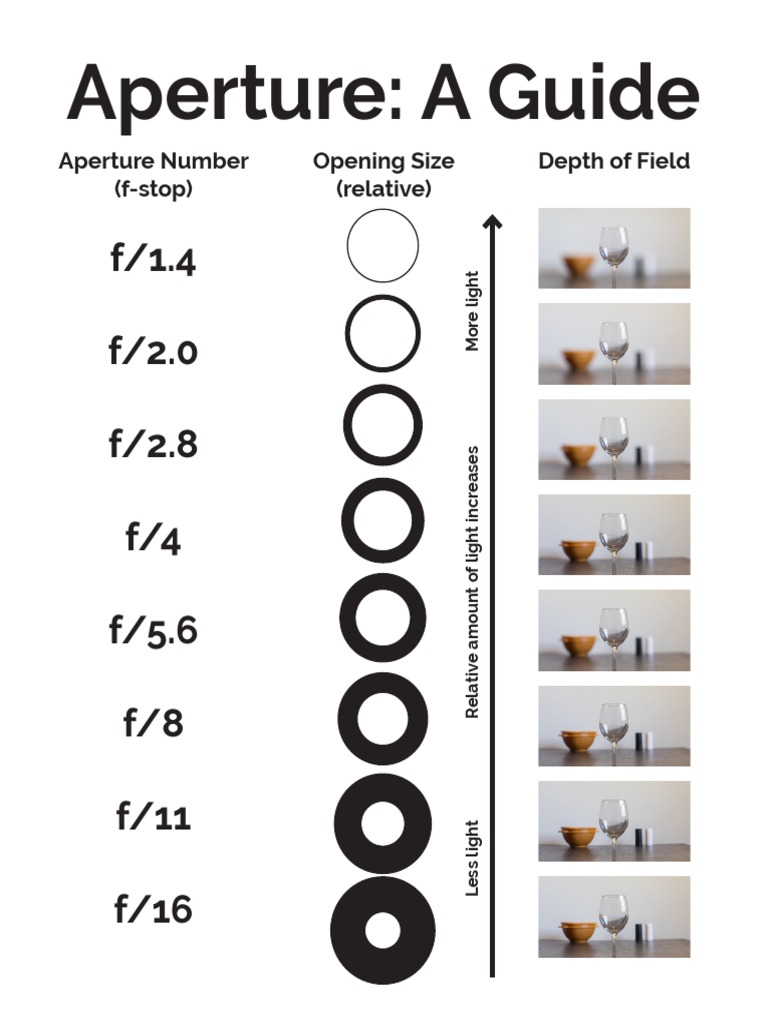 Aperture Guide | PDF