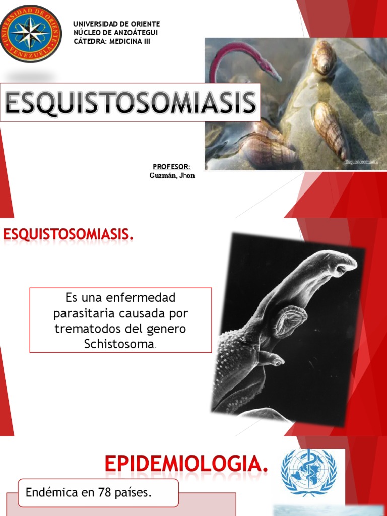 diapositivas-de-esquistosomiasis-pdf-inmunolog-a-rgano-anatom-a