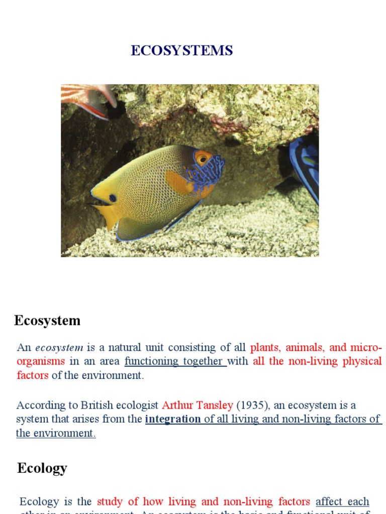 Lecture8!9!20397 Ecosystem | PDF | Ecosystem | Food Web