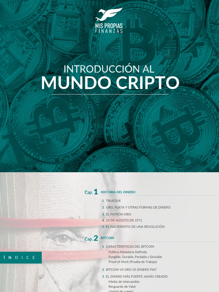 Ebook Introduccion Al Mundo Cripto | PDF | Bitcoin | Dinero Ebook Introduccion Al Mundo Cripto | PDF | Bitcoin | Dinero