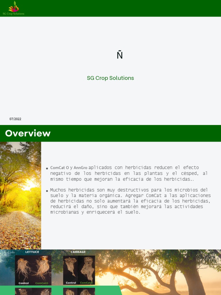 ComCat AnnGro Herbicides SG | PDF | Arroz | Agricultura