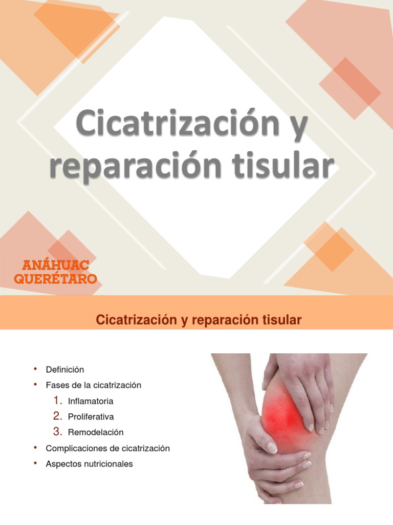 Cicatrización y Reparación Tisular, Fisiopatologia | PDF ... Cicatrización y Reparación Tisular, Fisiopatologia | PDF ...