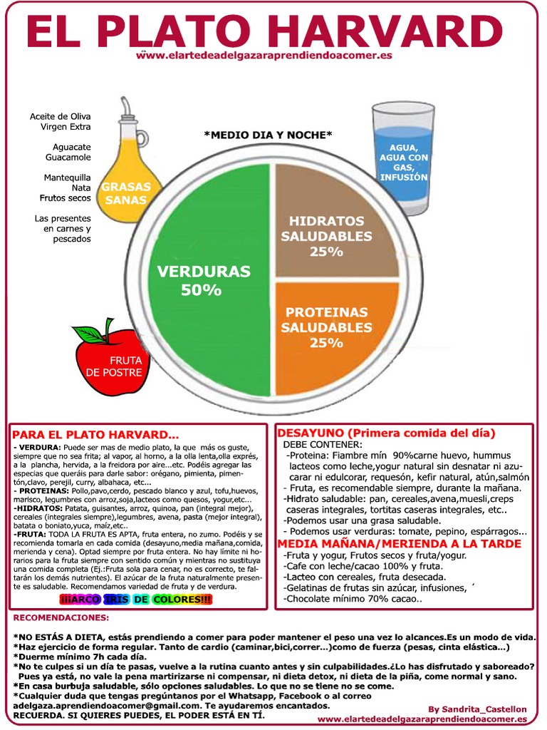 ESQUEMA_PLATO_HARVARD | PDF | Alimentos