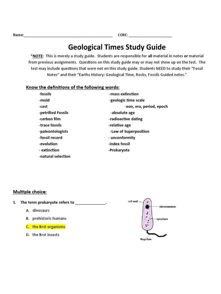 Geological Times Unit Study Guide ANSWER KEY | PDF | Fossil | Geologic ...