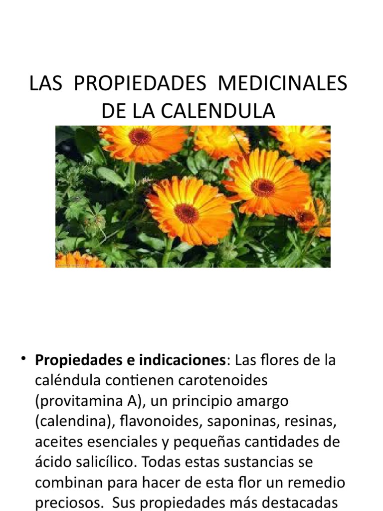 Calendula, Propiedades Medicinales | PDF | Especialidades Medicas