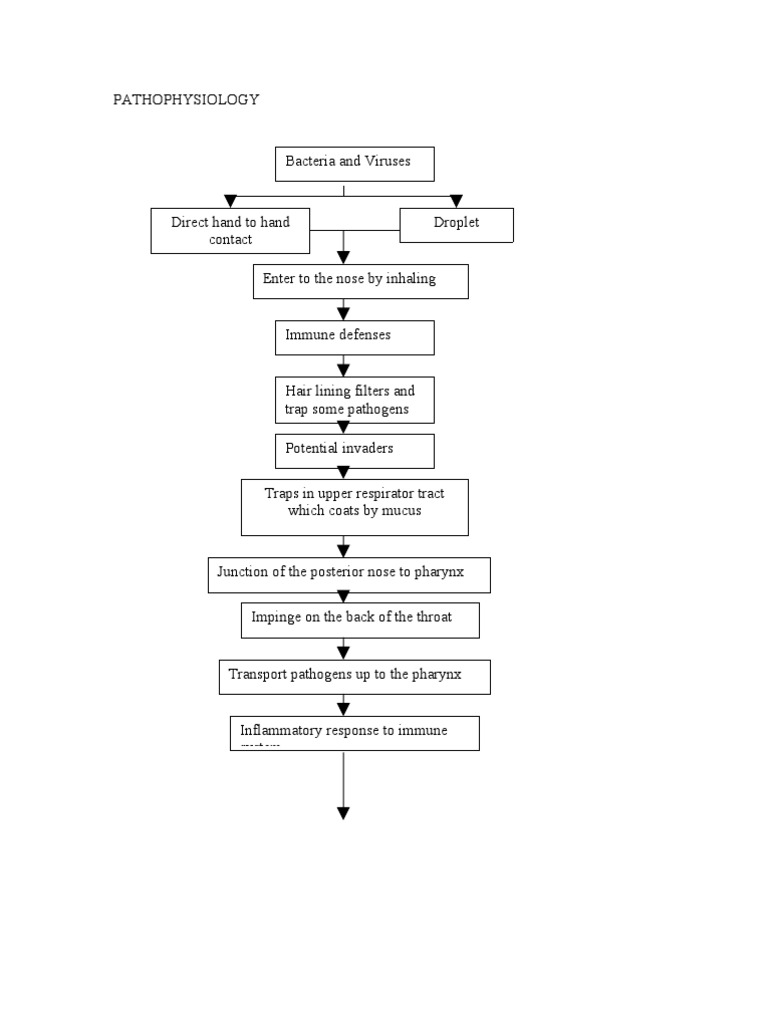 Upper Respiratory Infection Pathophysiology | PDF | Immunology ...