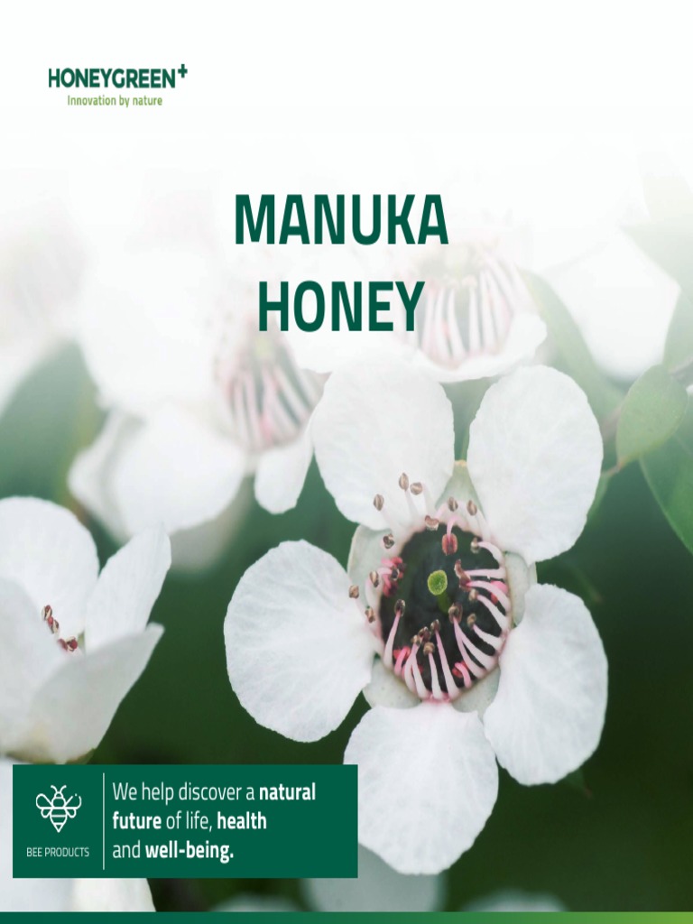 Manuka Honey: Benefits and Uses Guide | PDF | Honey