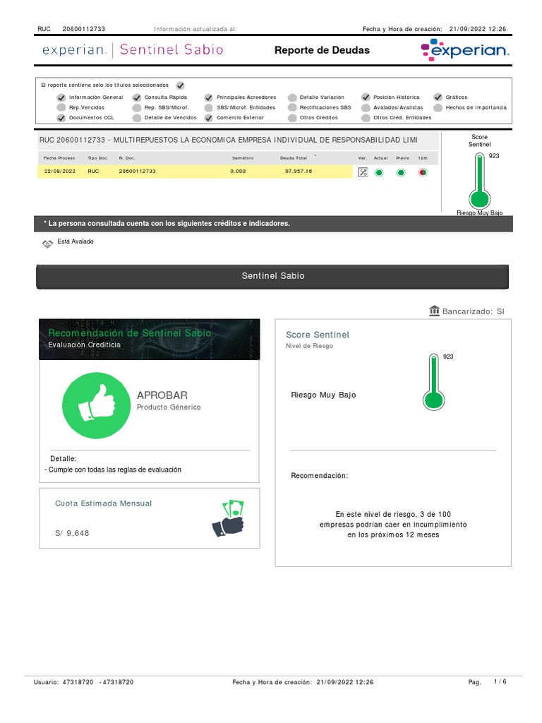 Reporte de Deudas: Aprobar | Descargar gratis PDF | Deuda | Economias