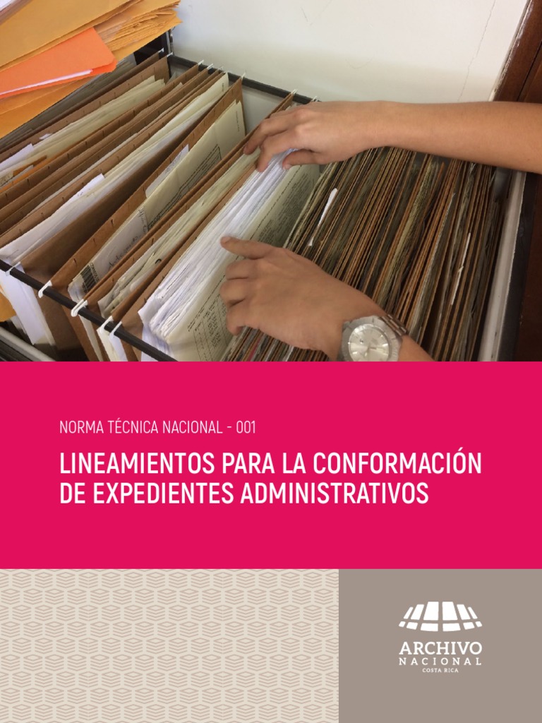 Lineamientos Para La Organización Y Gestión De Expedientes 
