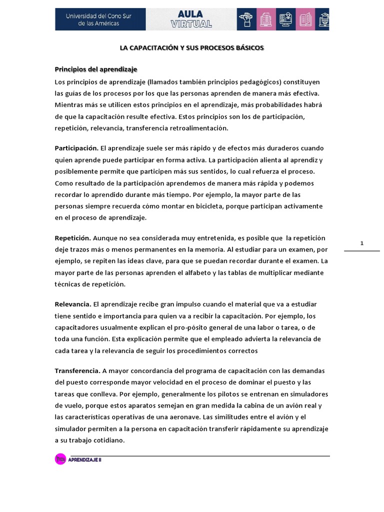 Procesos Básicos de La Cap | PDF | Aprendizaje | Evaluación