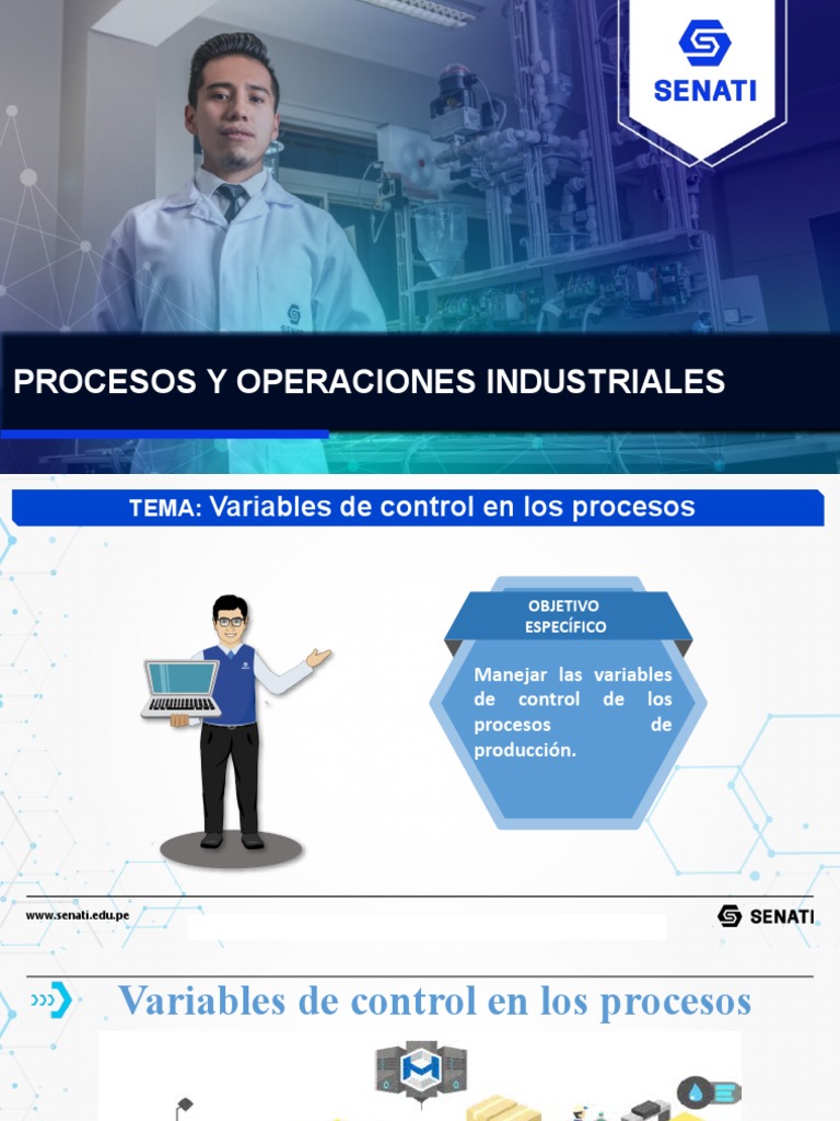 Variables de Control en El Proceso Sesión 02 | PDF | Pascal (Unidad ...