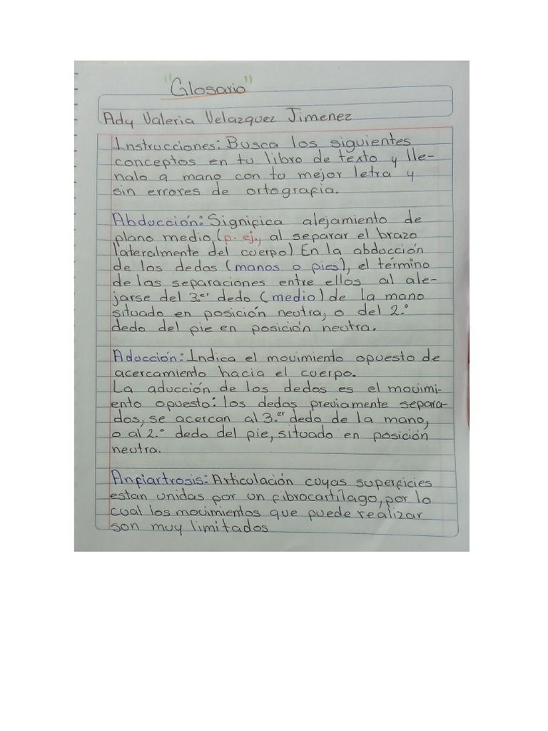 Anatomia Humana Ady Valeria Velazquez Jimenez | PDF