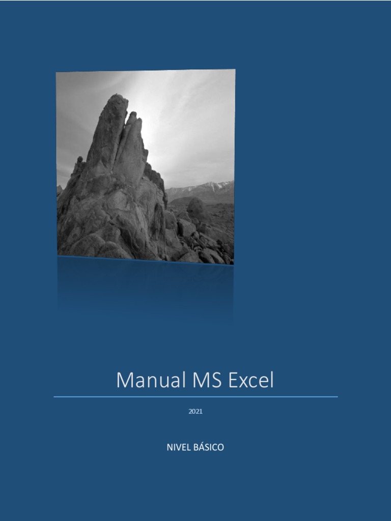 Manual EXCEL 2013 Básico | PDF | Microsoft Excel | Hoja de cálculo