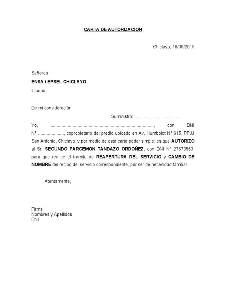 Carta de Autorización | PDF