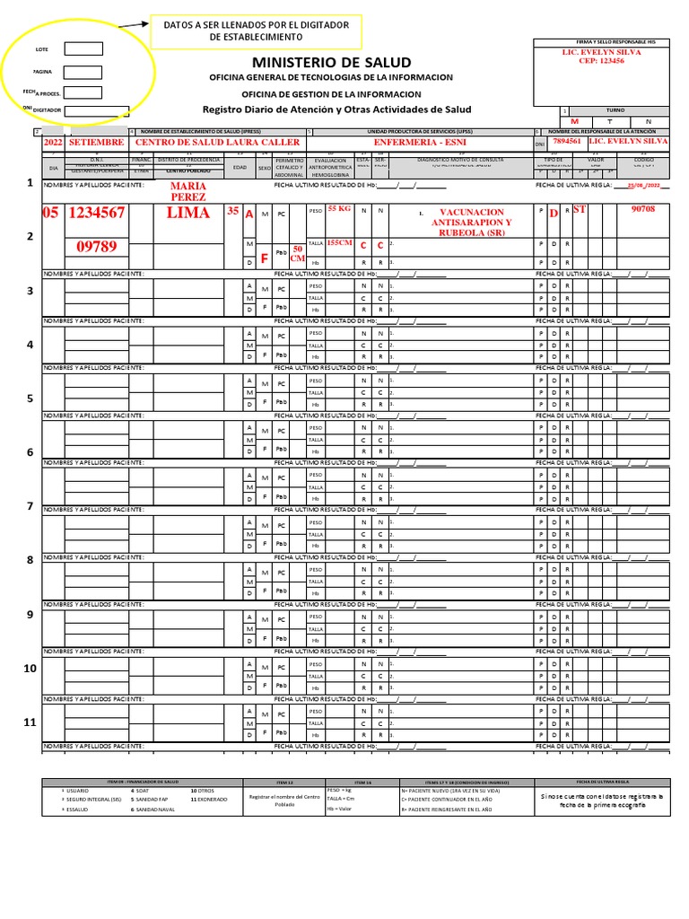 Semana 17 Formato His | PDF | Medicina | Cuidado de la salud